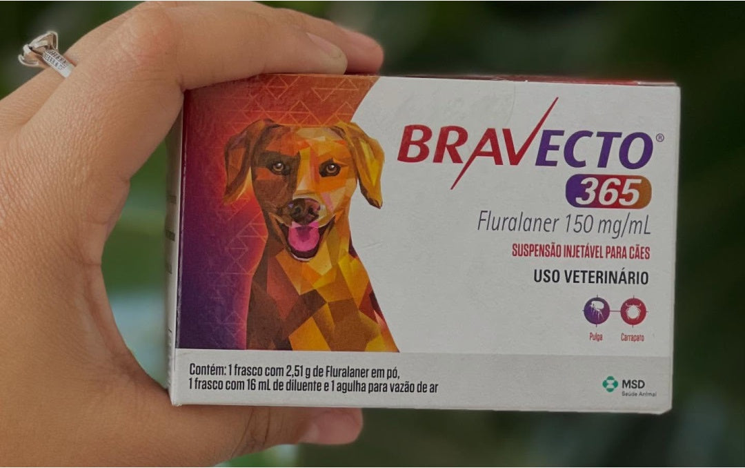 Bravecto 365: proteção total contra pulgas e carrapatos por um ano int